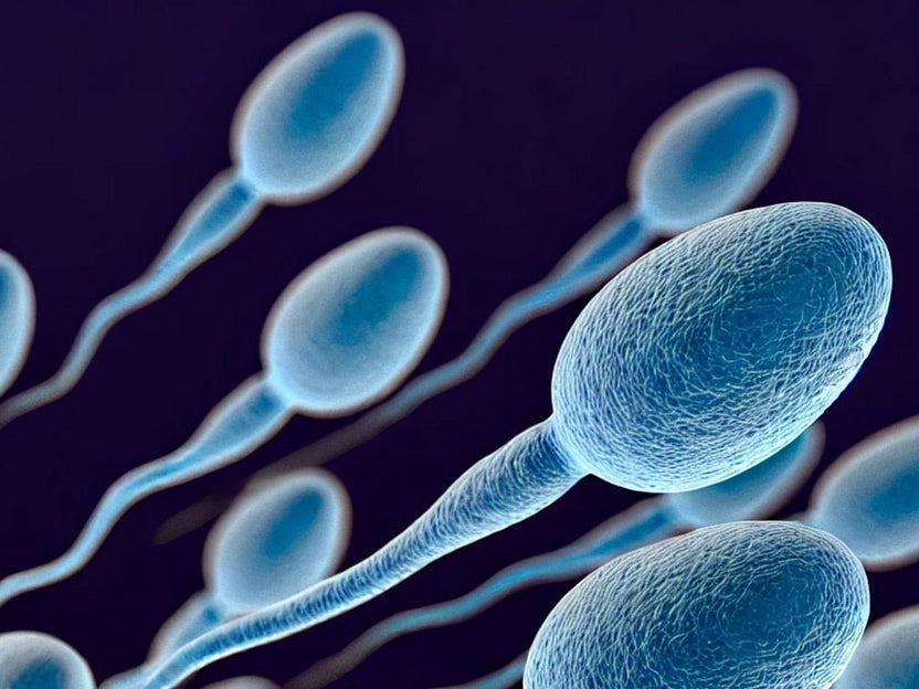 Spermicide Gel: What You Need to Know | Conceive Plus®