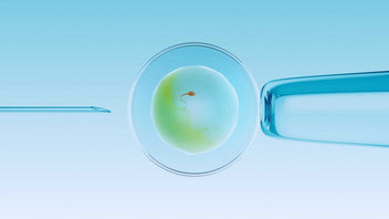 What Are the 5 Stages of IVF | Conceive Plus®