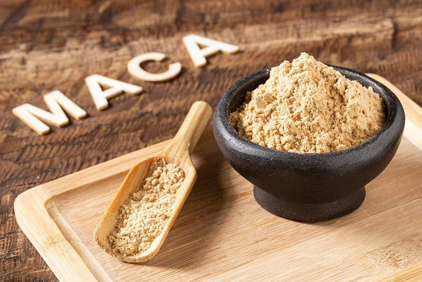 What Are the Weight Gain Maca Root Benefits | Conceive Plus®